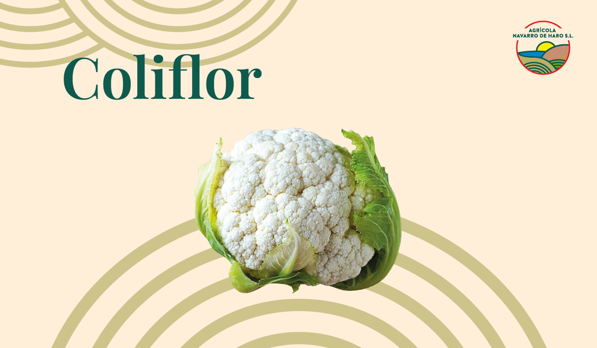 Beneficios de la coliflor, una hortaliza culinaria – Agrícola Navarro ...